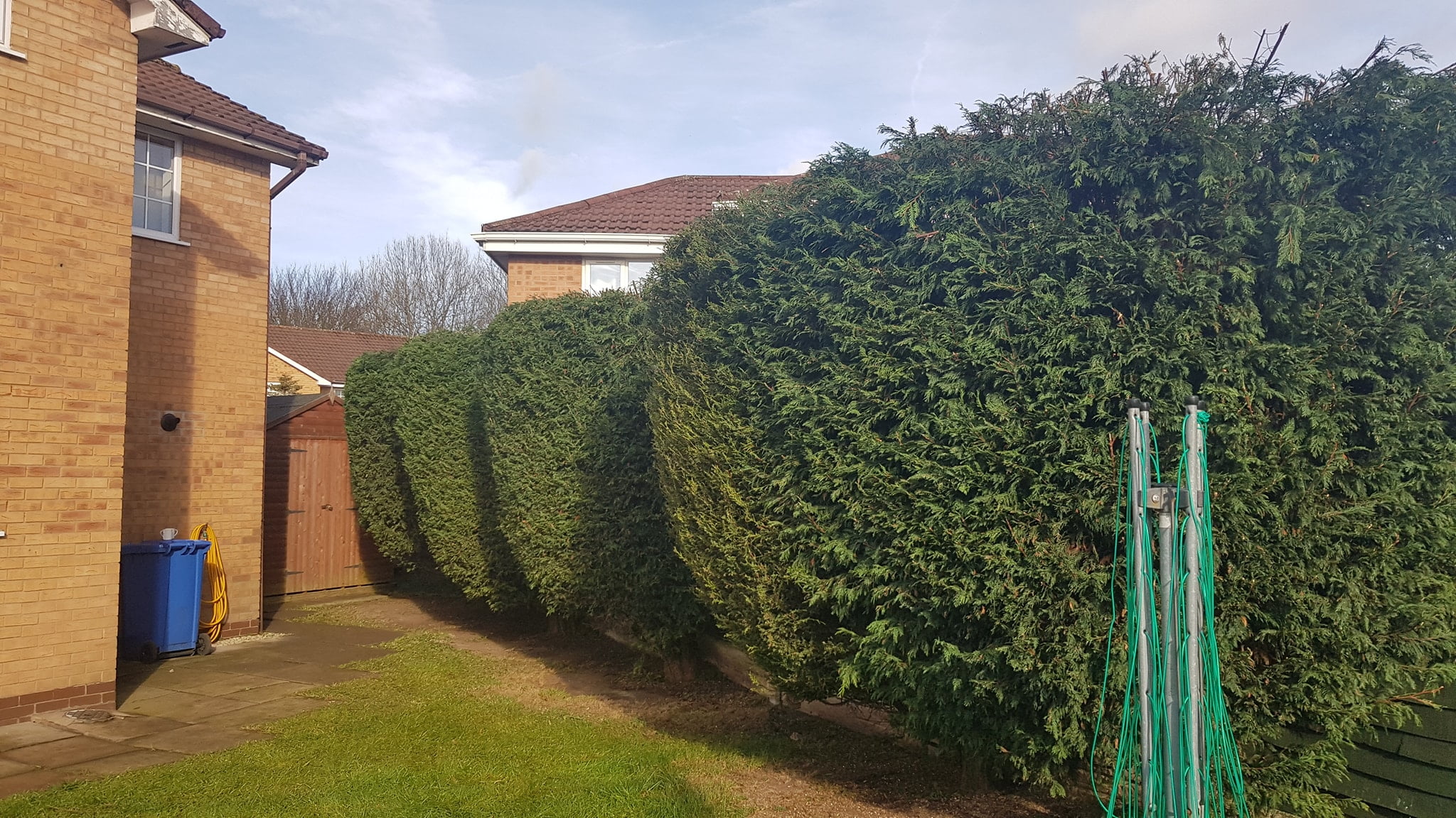 Hedge Reductions & Maintenance - Tree Care Extraordinaire